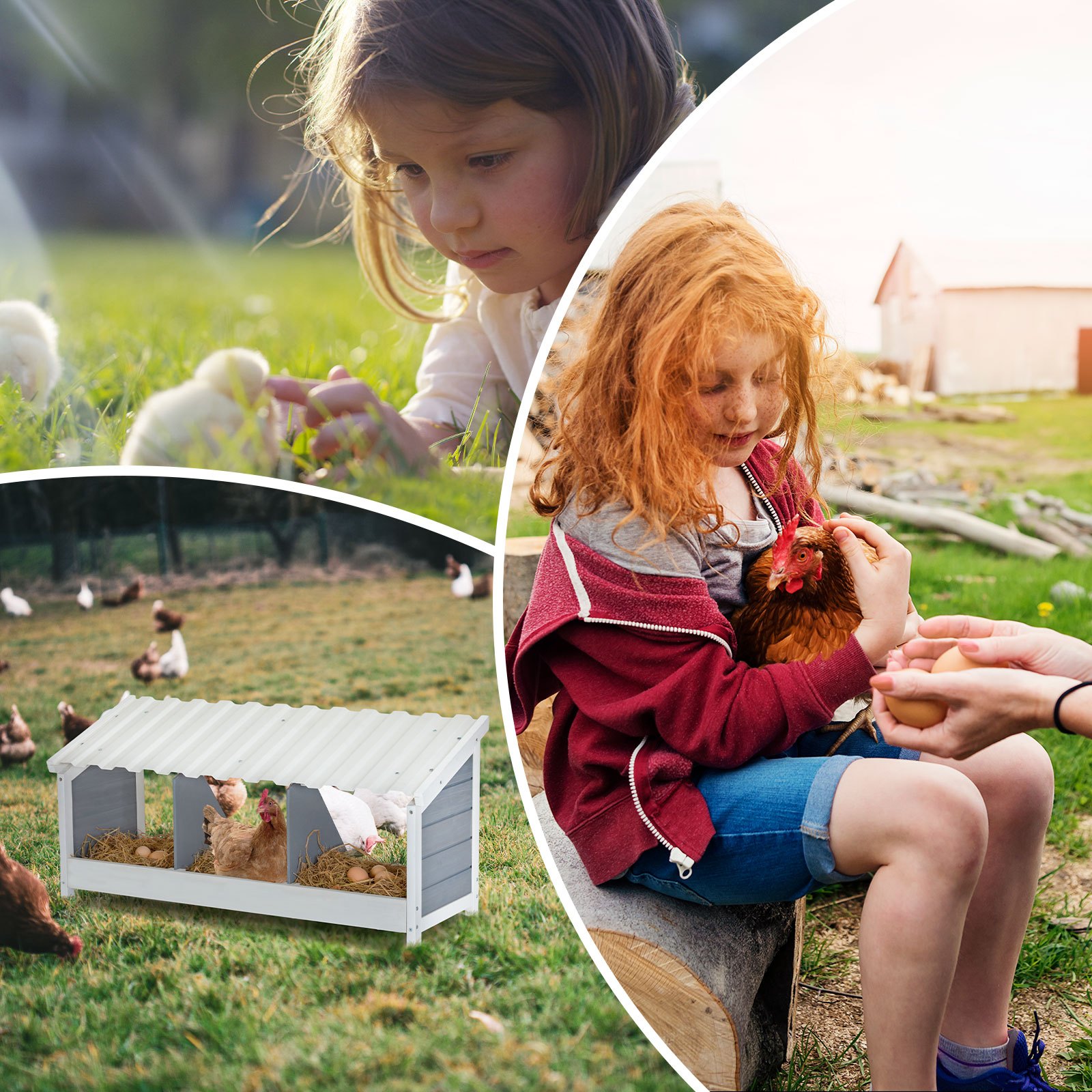 Triple Chicken Nesting Box Chicken Coop Accessories - Temu