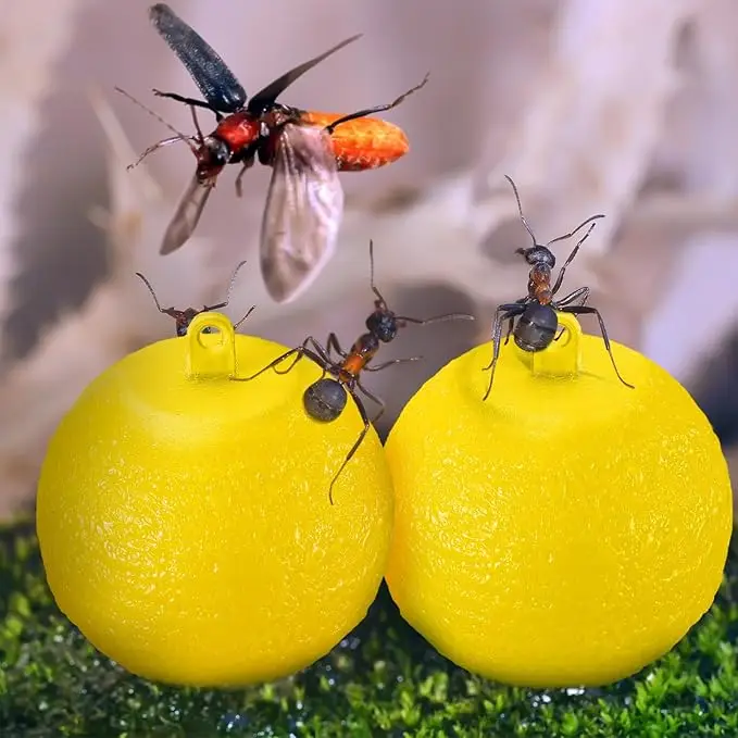 크리스마스 1개 세트 접착식 과일 파리 포획 공 접착식 파리 포획 공 접착 접착제 파리 모기 파리 말벌 모기 파리 노란색