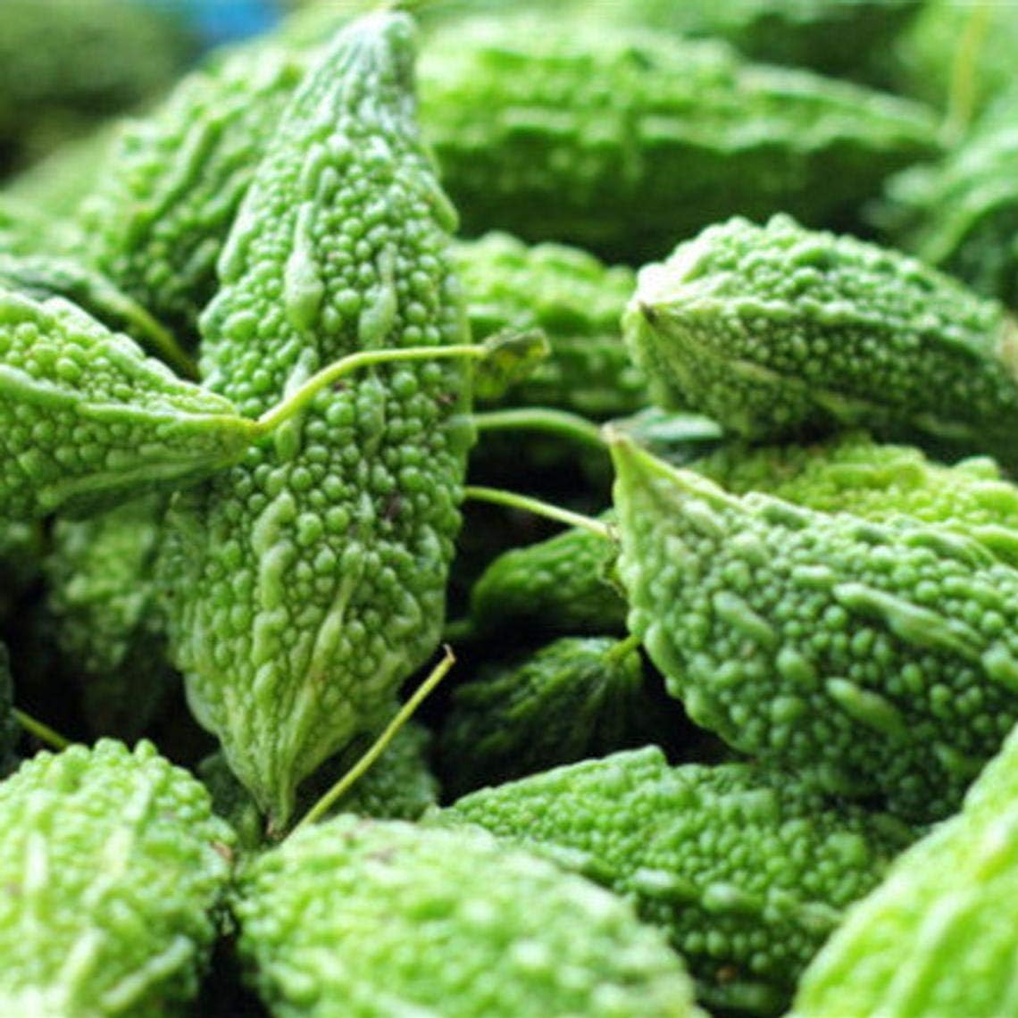 garden 10 seeds white gourd - Temu