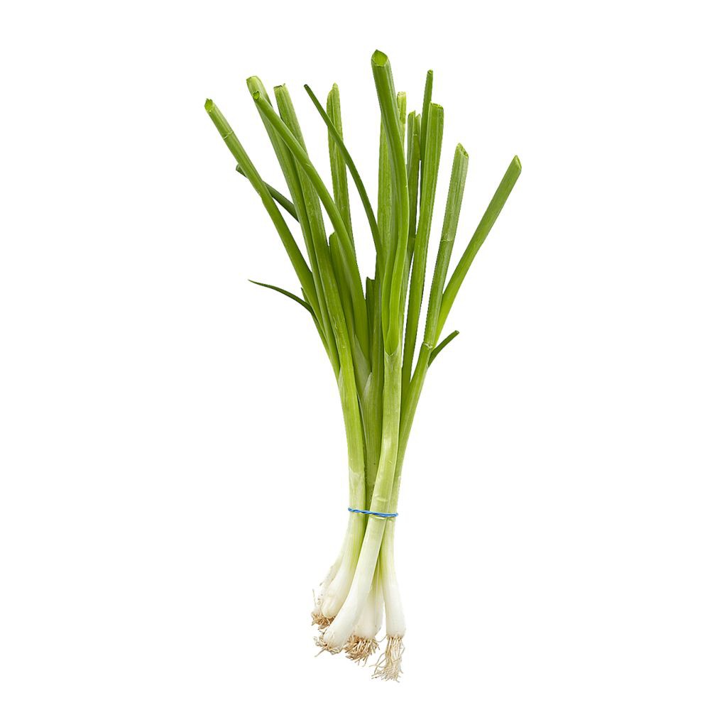 chinese scallion sibuyas vegetable seeds ( 1000 seeds - Temu