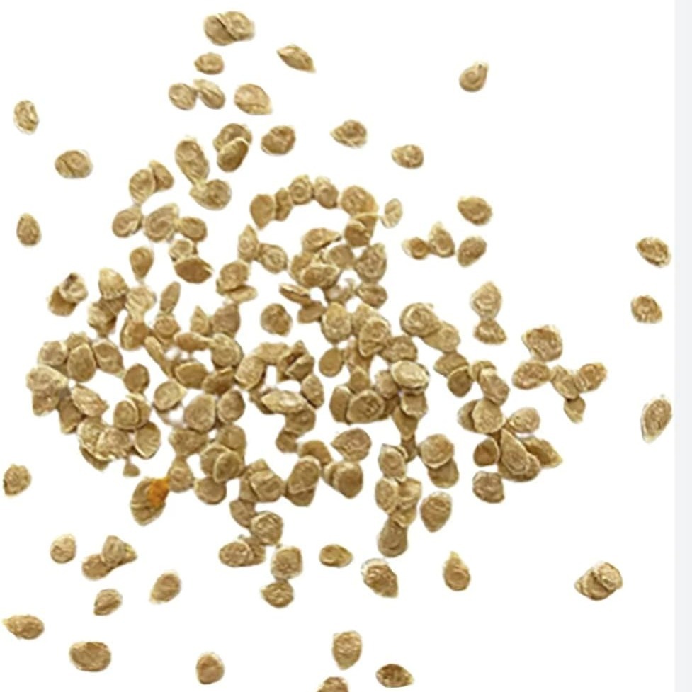 Tomato Seeds Rare Varieties Cherry - Temu