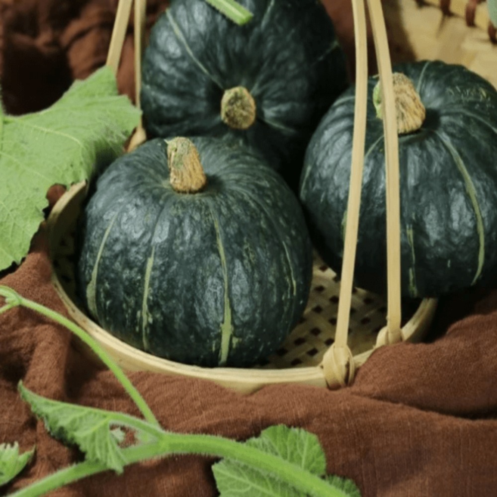 Vegetable Seeds Authentic Vegetables Grown - Temu