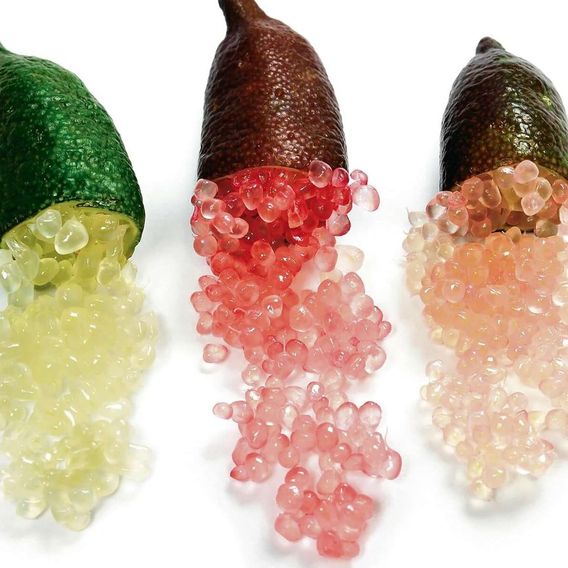 Finger Lime Seeds Spreading Low - Temu