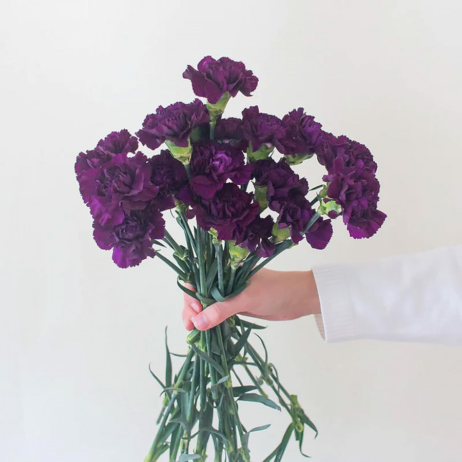 Discount Offer 300 Purple Peony Precious - Temu