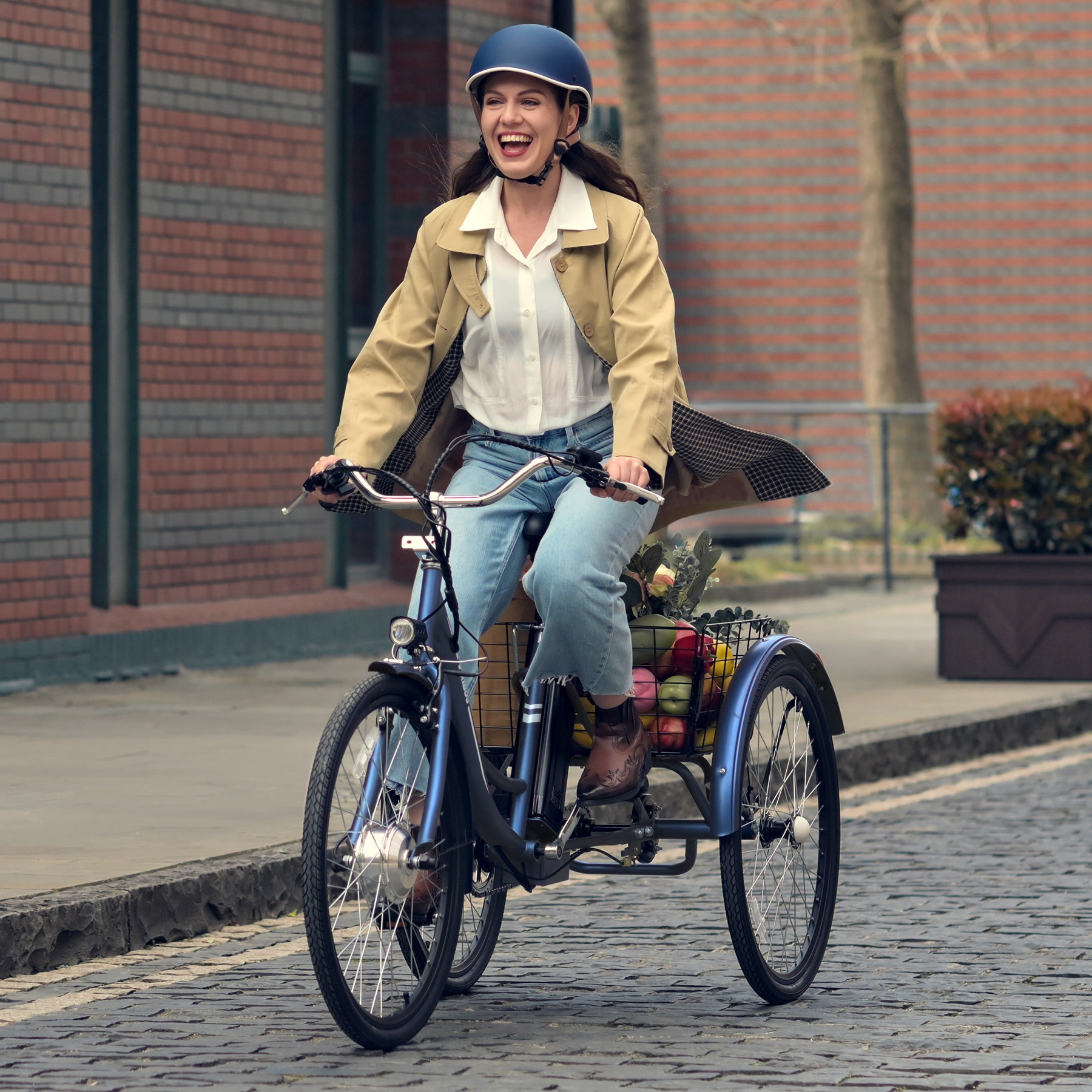 electric adult tricycle sold on Temu United States