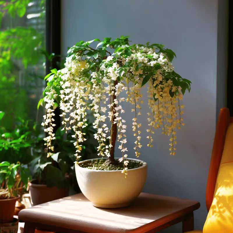 live plants sold on Temu United States