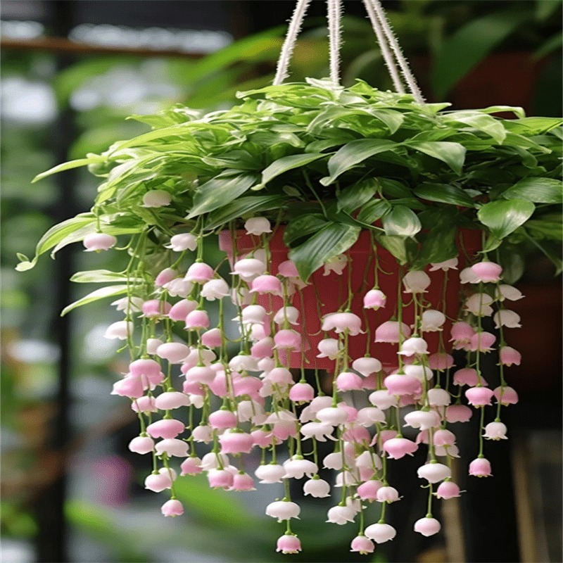 live plants sold on Temu United States