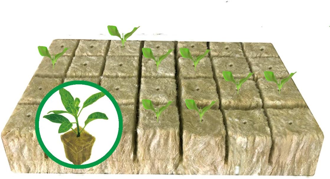 Premium Hydroponic Grow Cubes Rapid Plant Growth - Temu