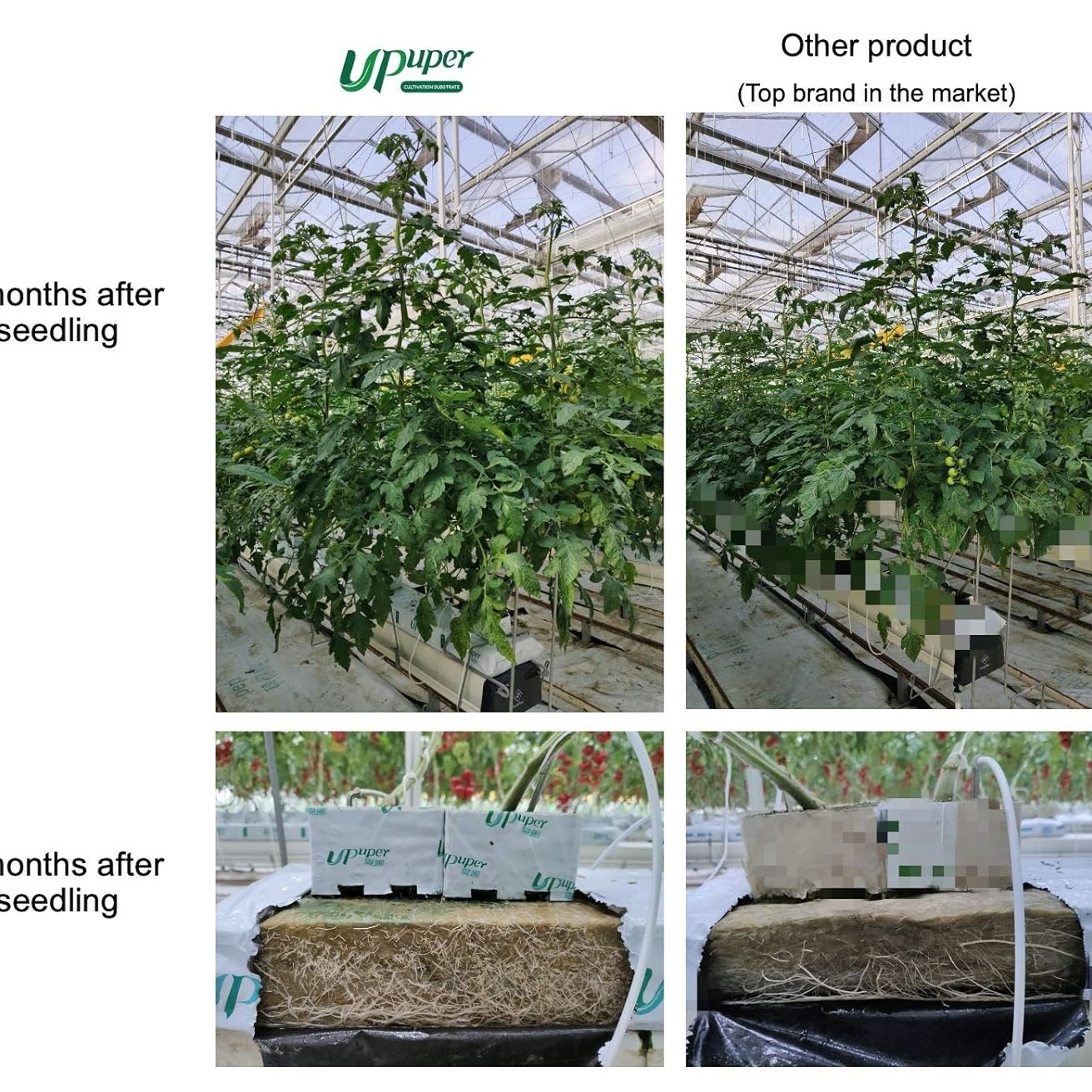 Stone Wool Rock Wool Planting Cubes Premium Hydroponic - Temu