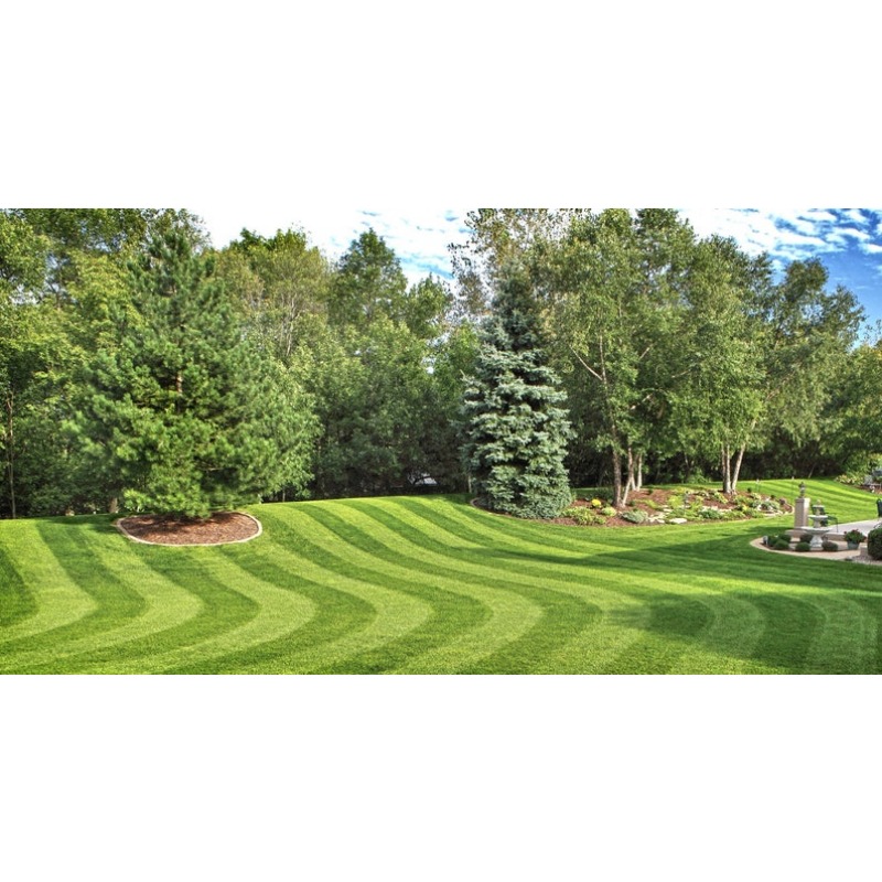 grass lawn low maintenance - Temu