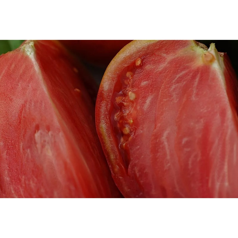 300 tomato seeds a gift home planting - Temu