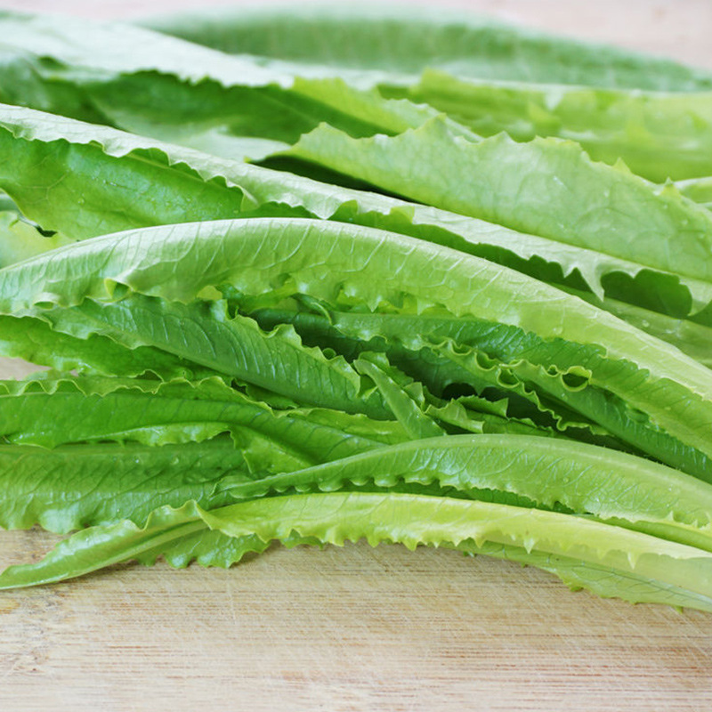 sesame oil wheat seeds sowing - Temu