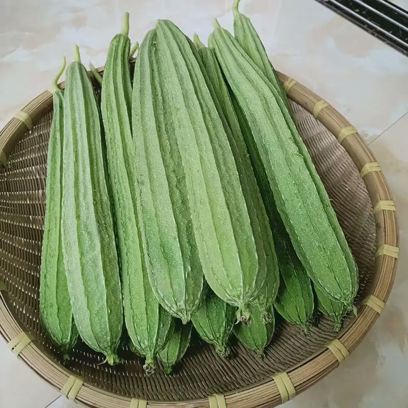 Luffa Seeds Octagonal Melon Ling Luffa - Temu