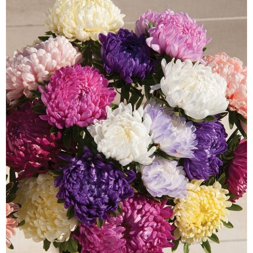 25 Tower Mix Seeds - Temu