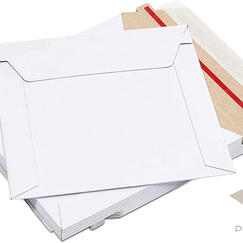 cardboard envelopes sold on Temu United States