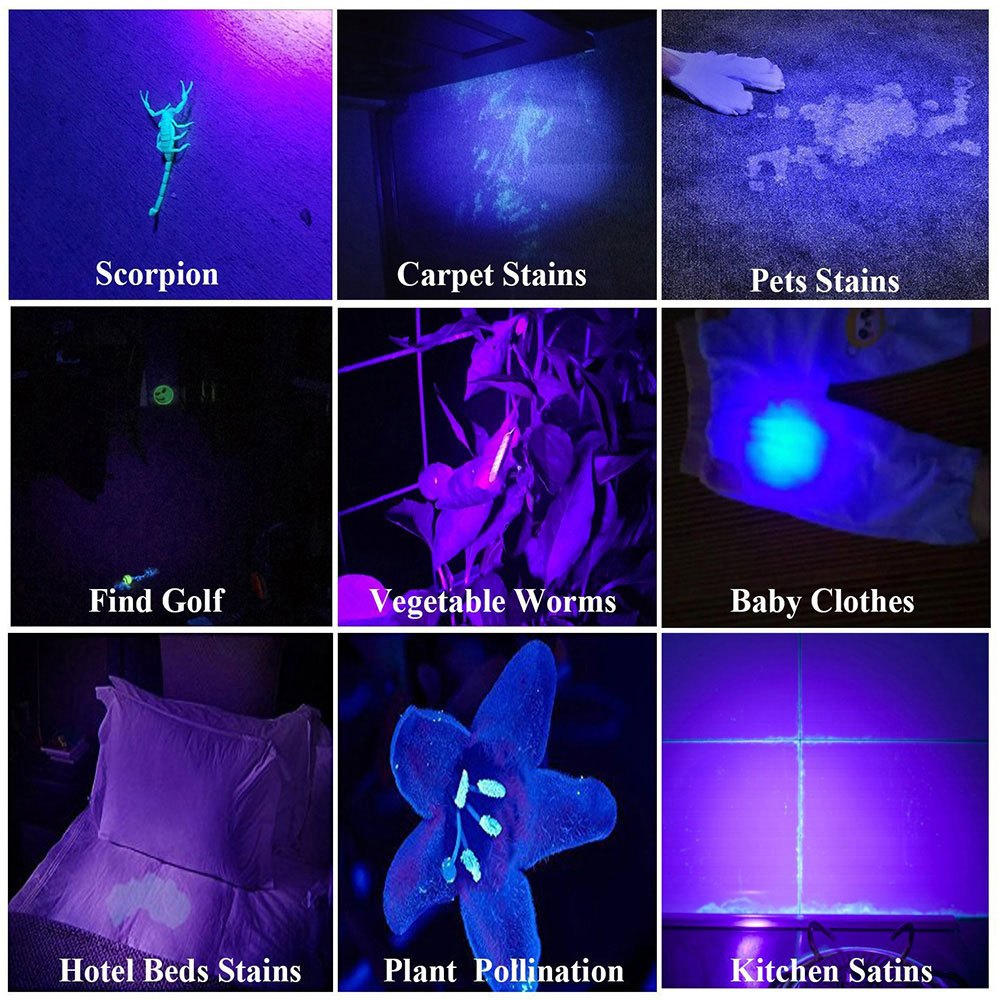 365nm Uv Flashlight With 3 Leds Rechargeable Black Light Torch For ...