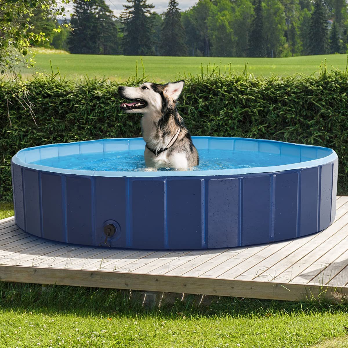 Collapsible Dog Swimming Pool Hard Plastic Pet Bath Swimming - Temu