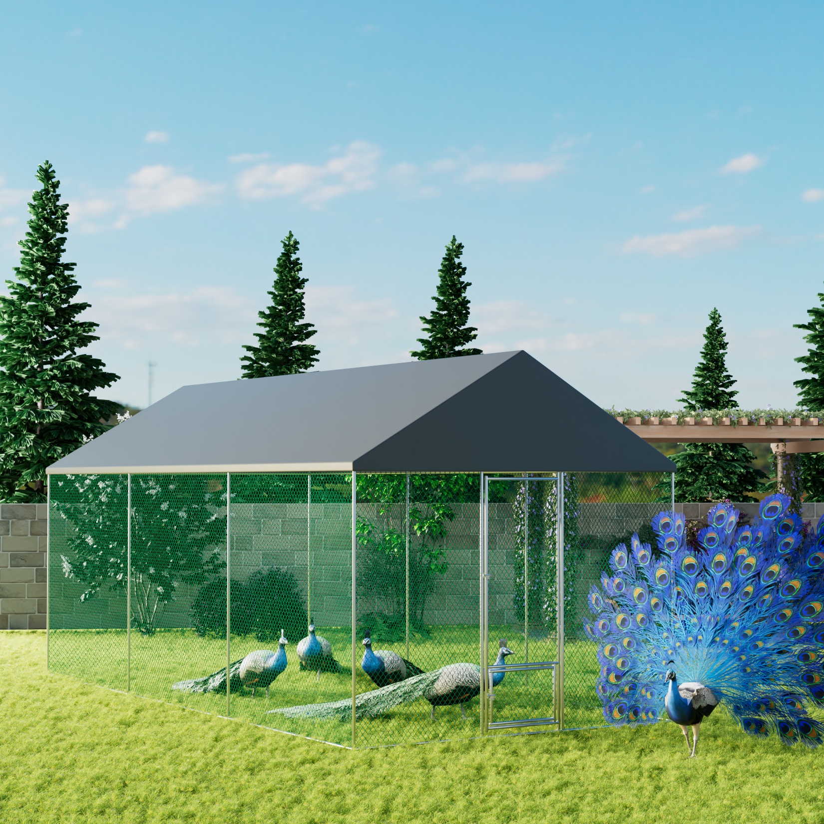 Extra Tall Large Chicken Coop Run Outdoor: Walk In Poultry - Temu