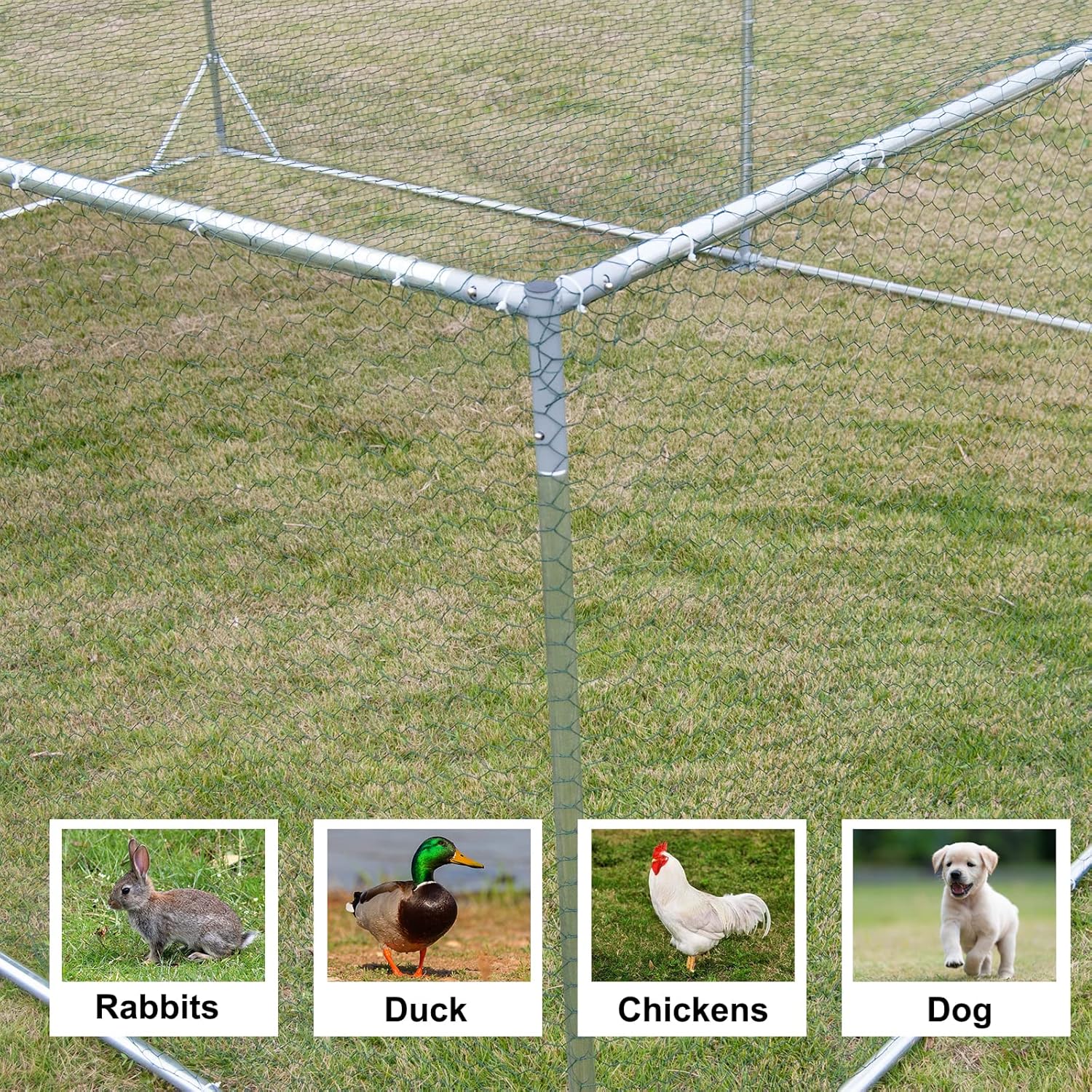 Large Metal Chicken Coop Walk in Poultry Cage Hen - Temu