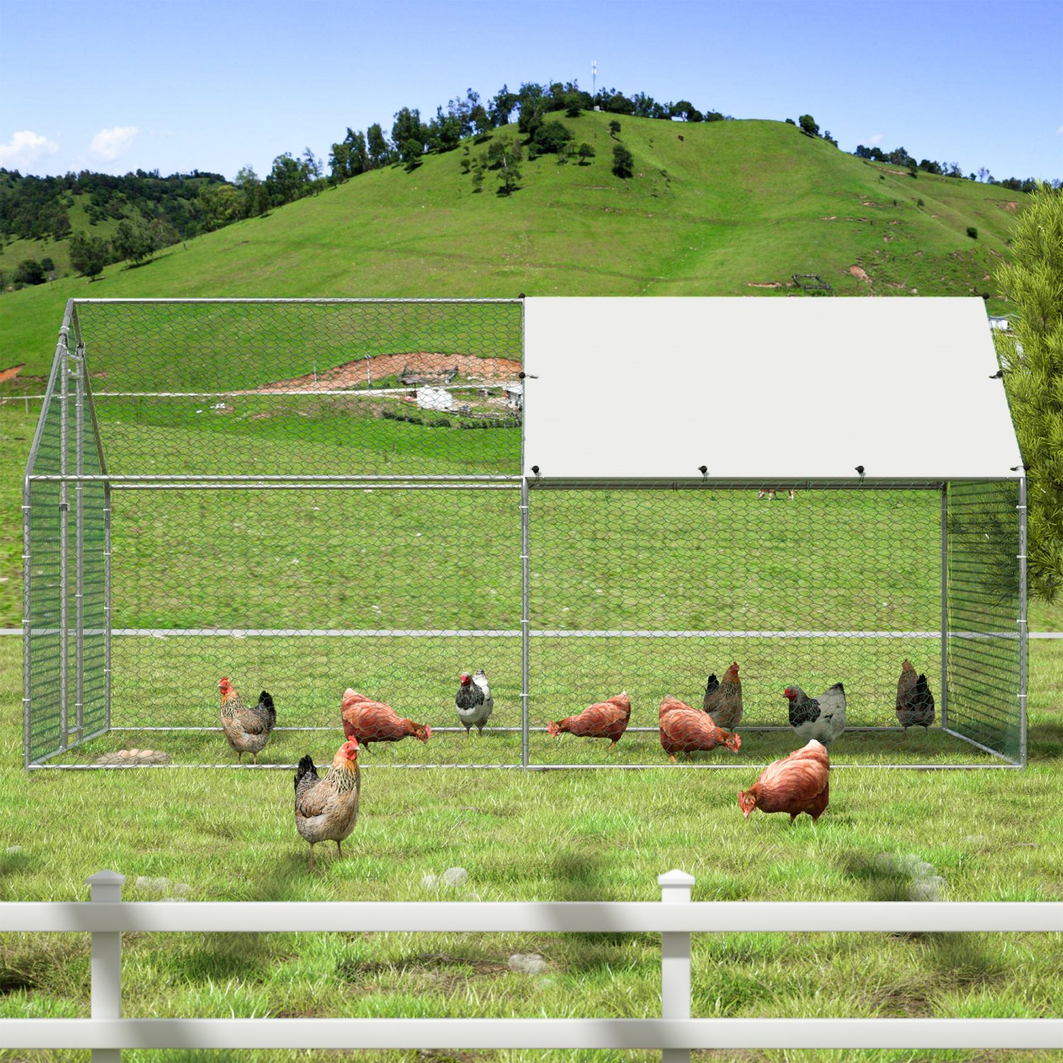 Outdoor Chicken Coop Walk in Poultry Habitat shaped - Temu