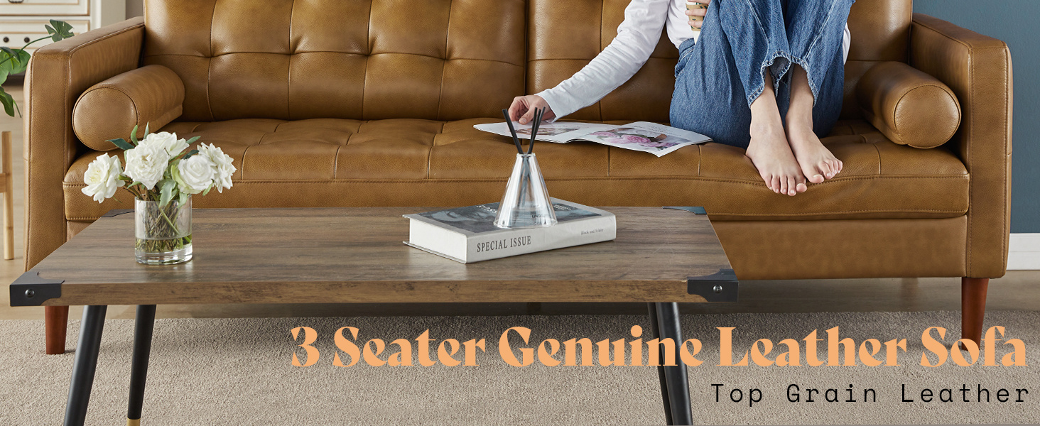 century Genuine Leather Sofa Leather Couch 3 Seater - Temu