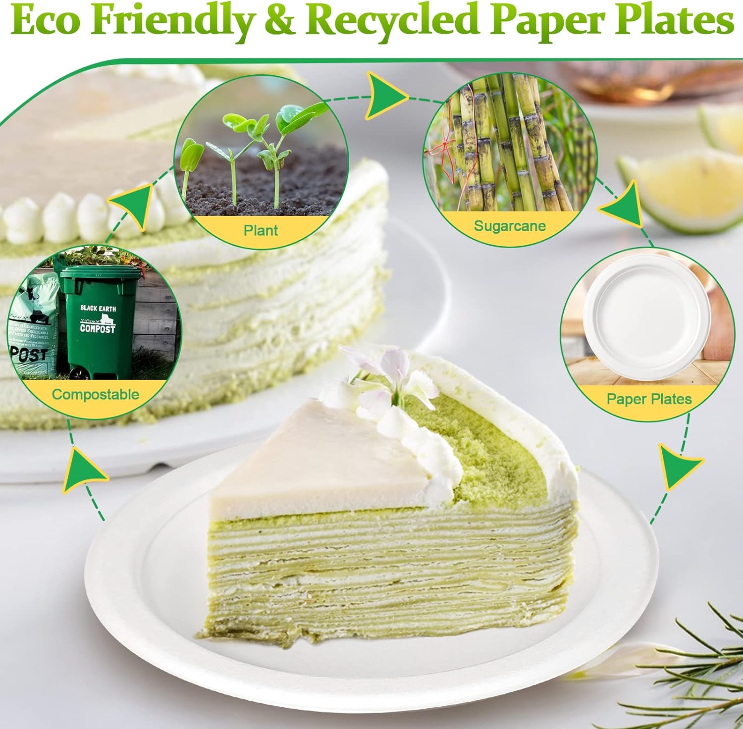 Paper Plates 6 Inch, Paper Plates In Bulk, Compostable Disposable Paper ...
