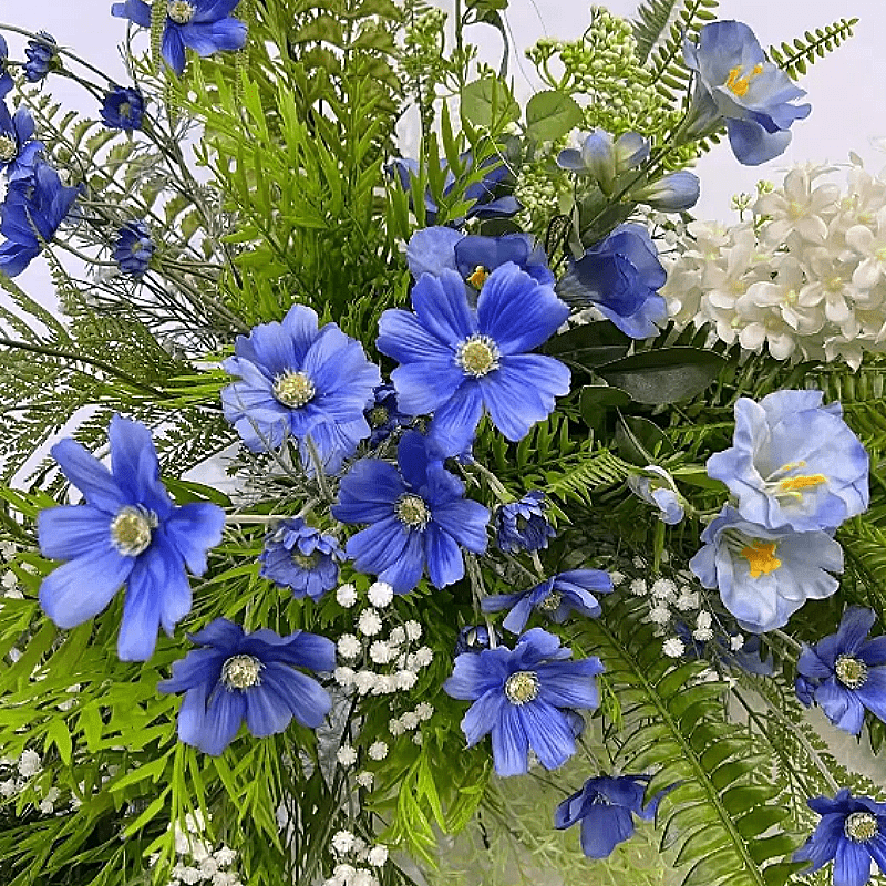 seed mix pack beautiful - Temu