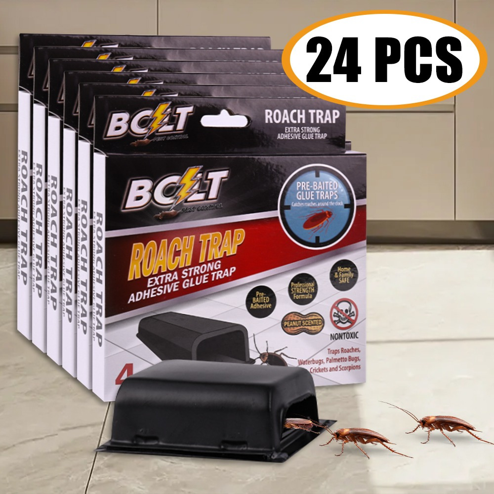 cockroach trap sold on Temu United States