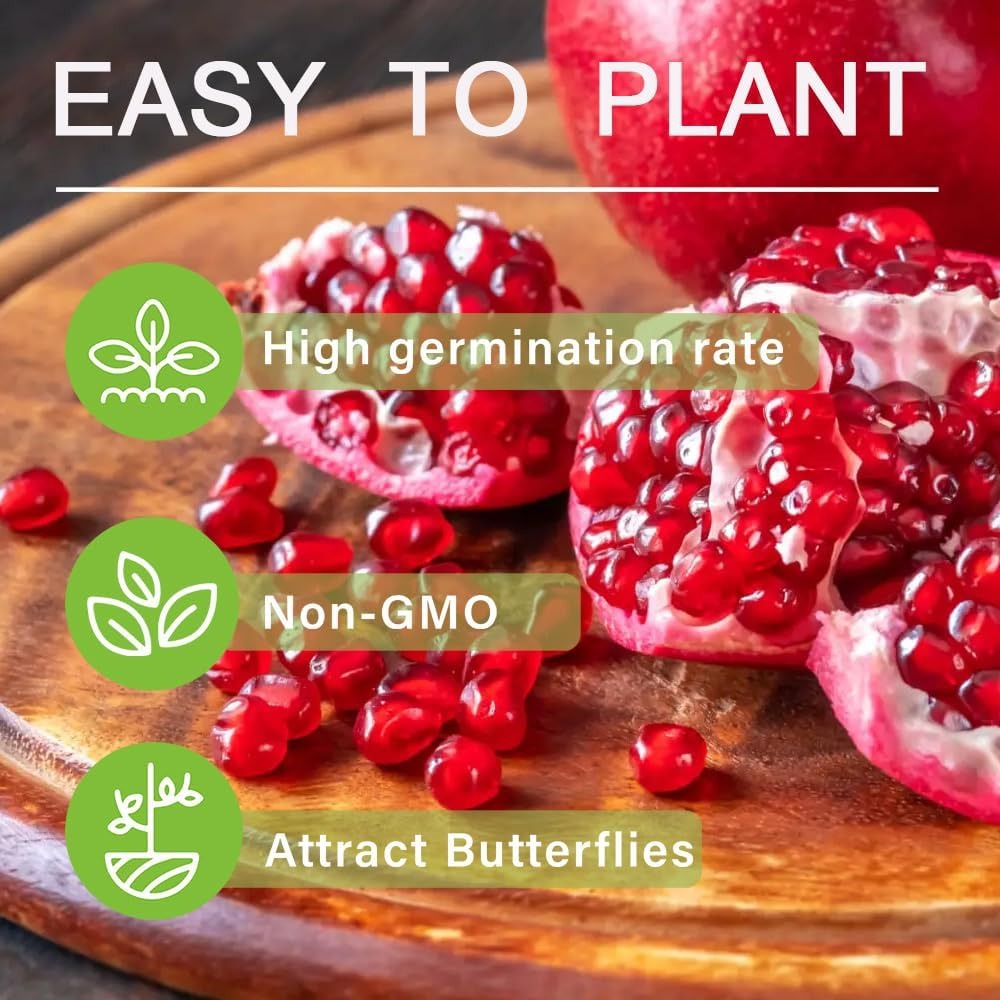 Pineapple Tree Seeds Outdoor Growing Premium - Temu
