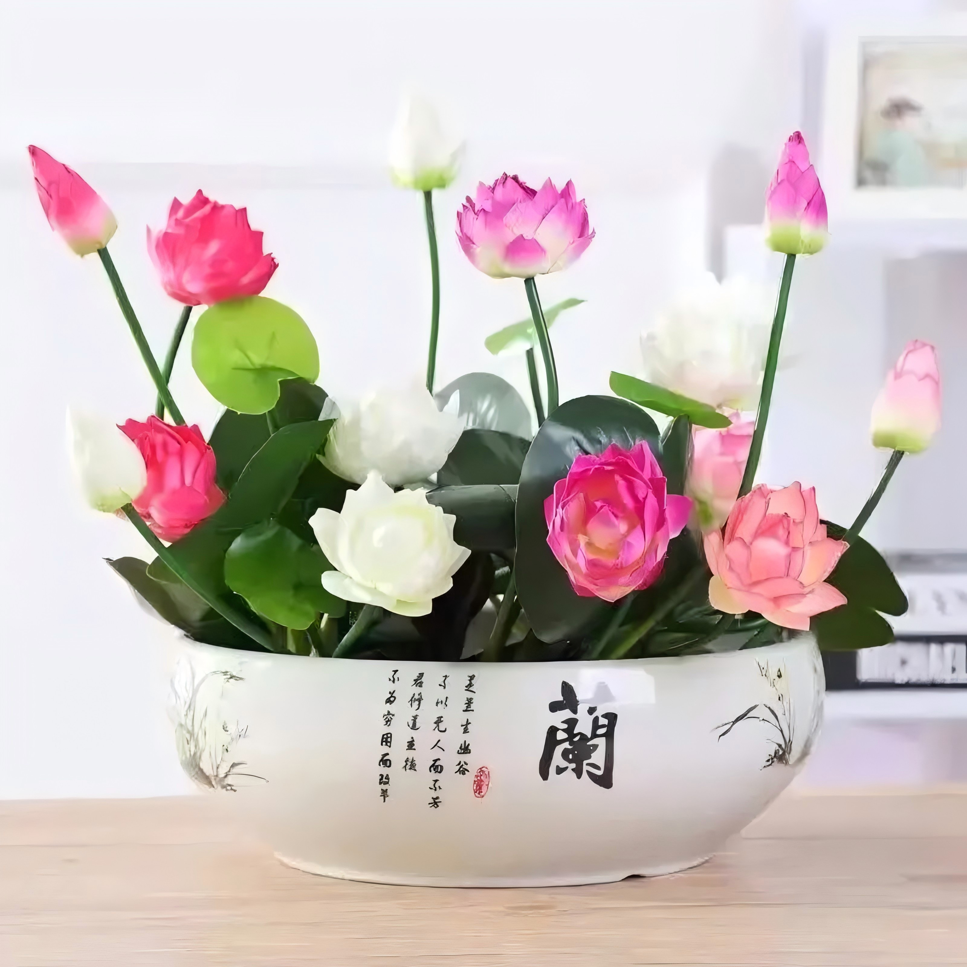 Bowl Lotus Seeds Bonsai Lotus Seeds Planting Water Lily - Temu