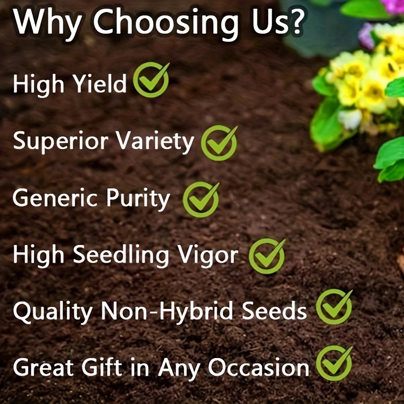 High Germination Rate B0b1c897vh1 Herbal Seeds Growing - Temu
