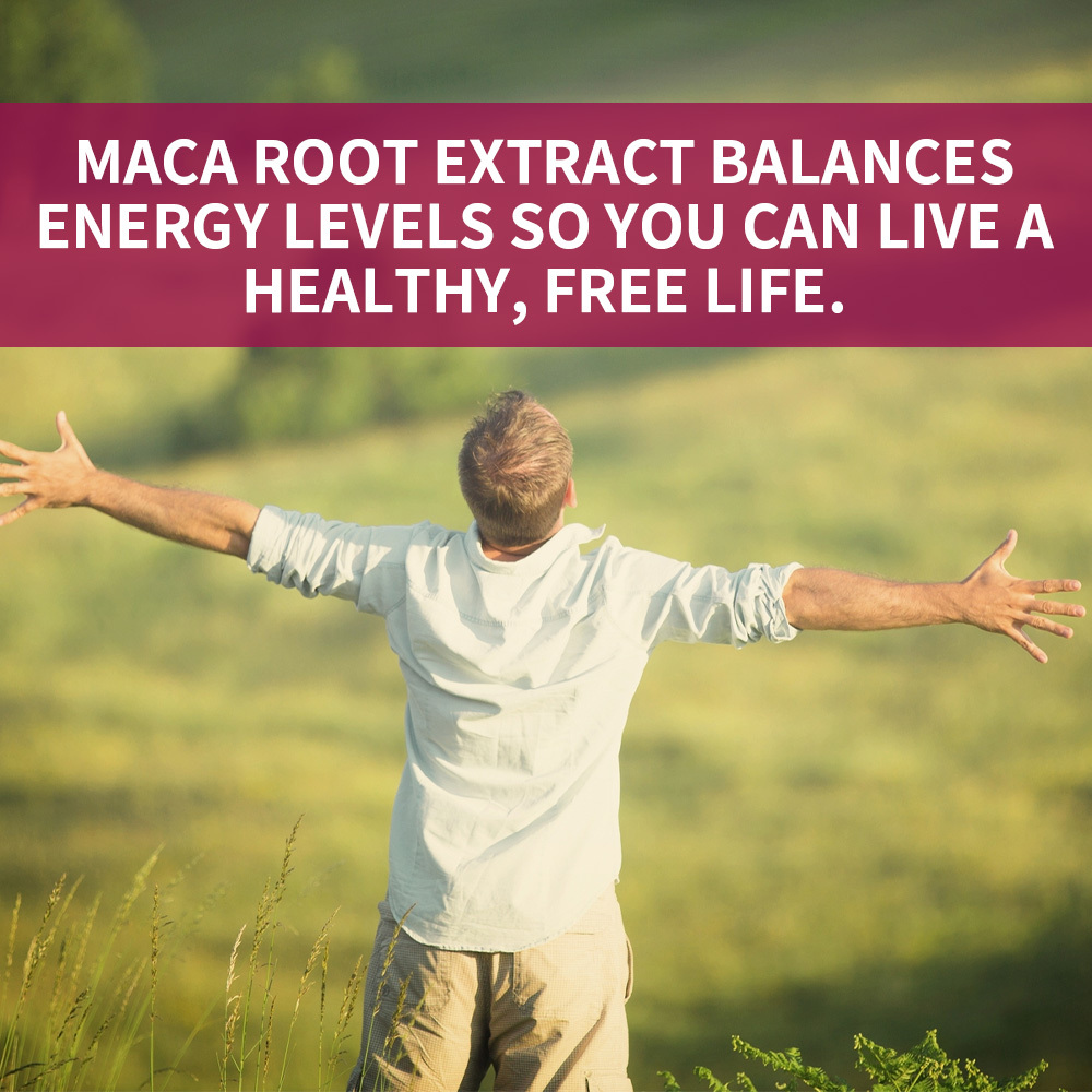 Maca Root Gummies 50 Mg Per Serving Energy Supplement Mood - Temu