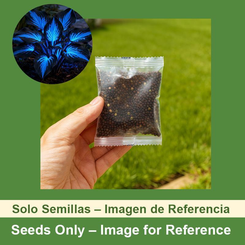 plant seeds sold on Temu United States