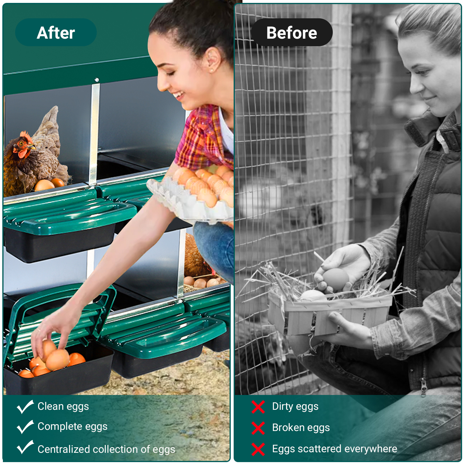 nesting boxes chickens 6/8/10 hole chicken nesting boxes - Temu