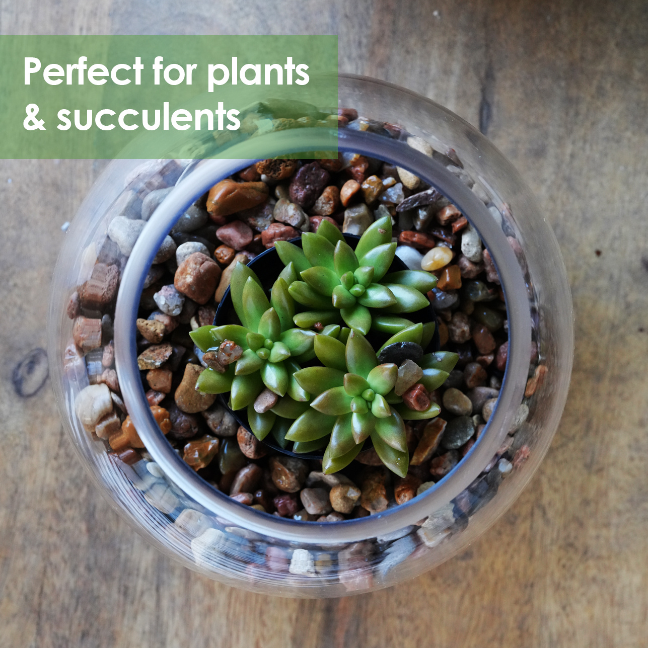 Glass Bubble Vase Glass Fish Bowl Vase Vase - Temu