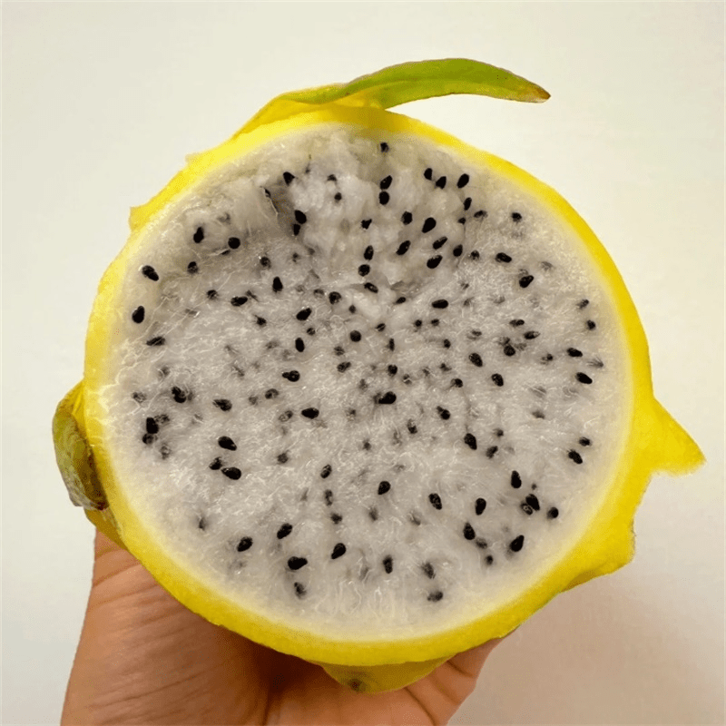 New Varieties Yellow Seeds Fruit Cold - Temu