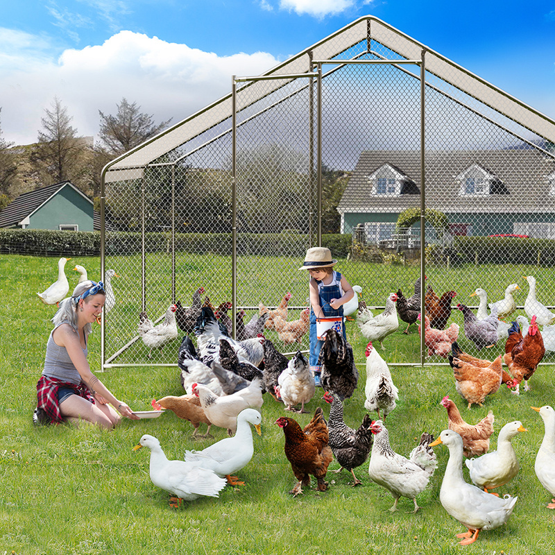 large chicken coop walk in metal poultry cage house rabbits - Temu