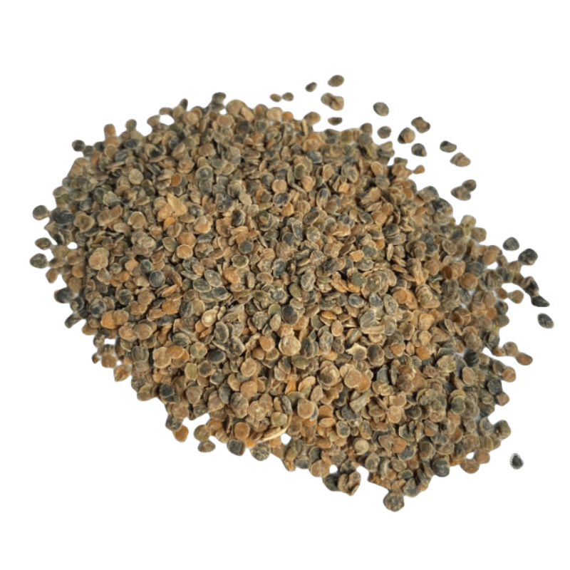 100pcs African Seeds, Purple African Purple Flower Seeds, Suitable For ...