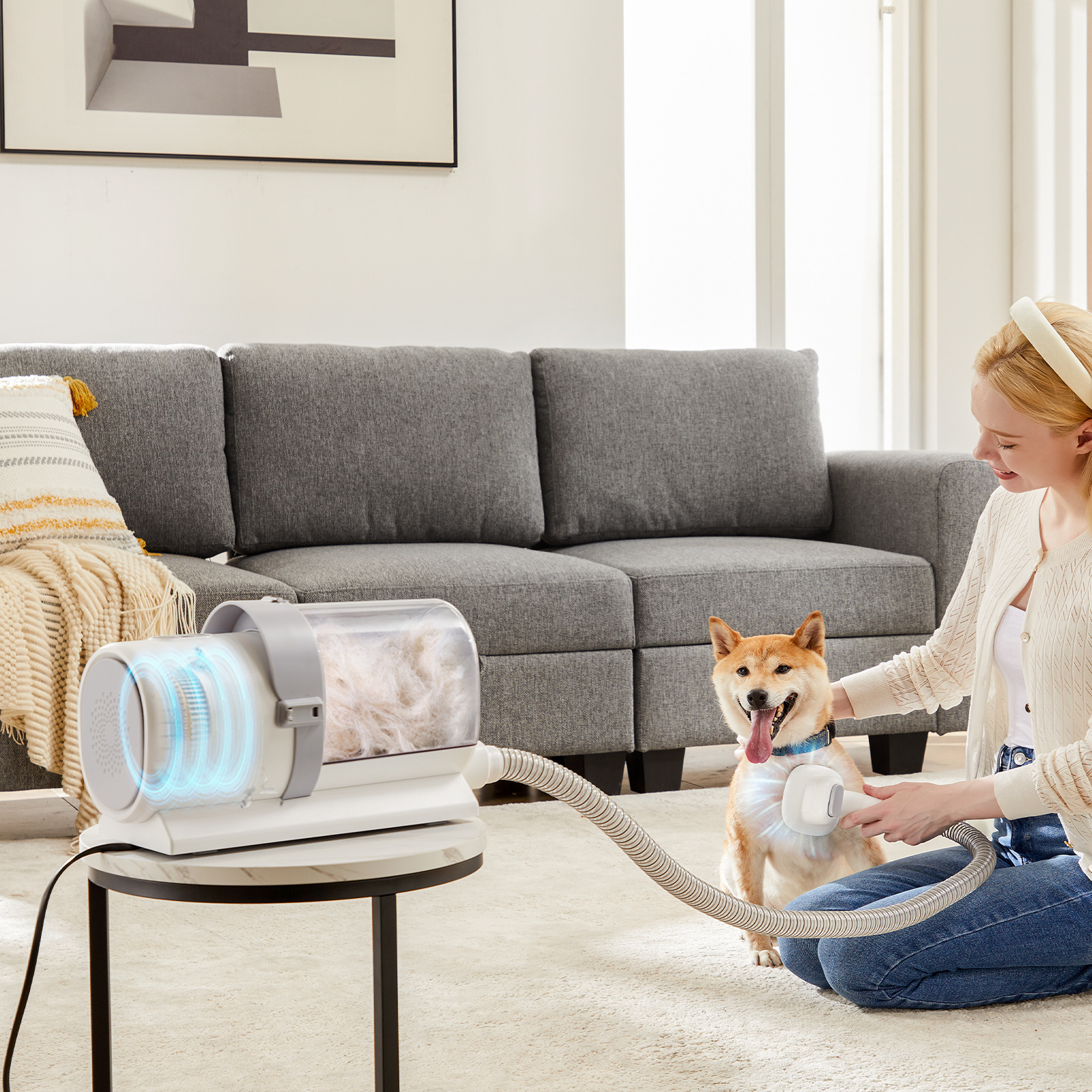 pet grooming vacuum sold on Temu United States