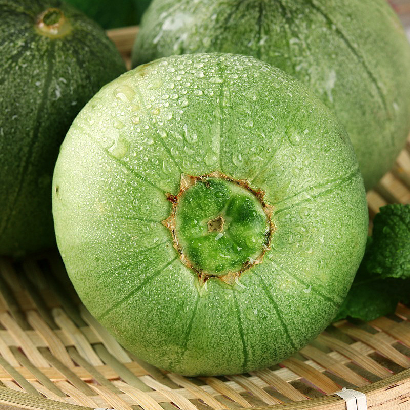 Melon Seeds Seed - Temu