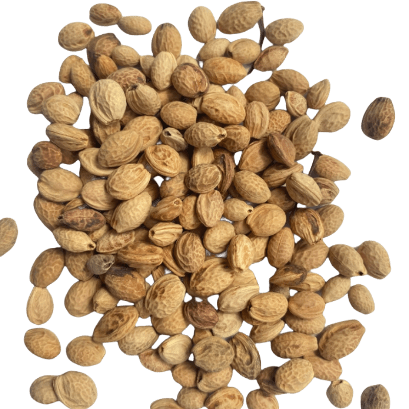 Seeds Suitable Rare Seeds - Temu