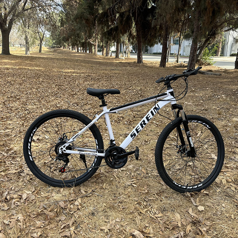 bikes bicycles sold on Temu United States