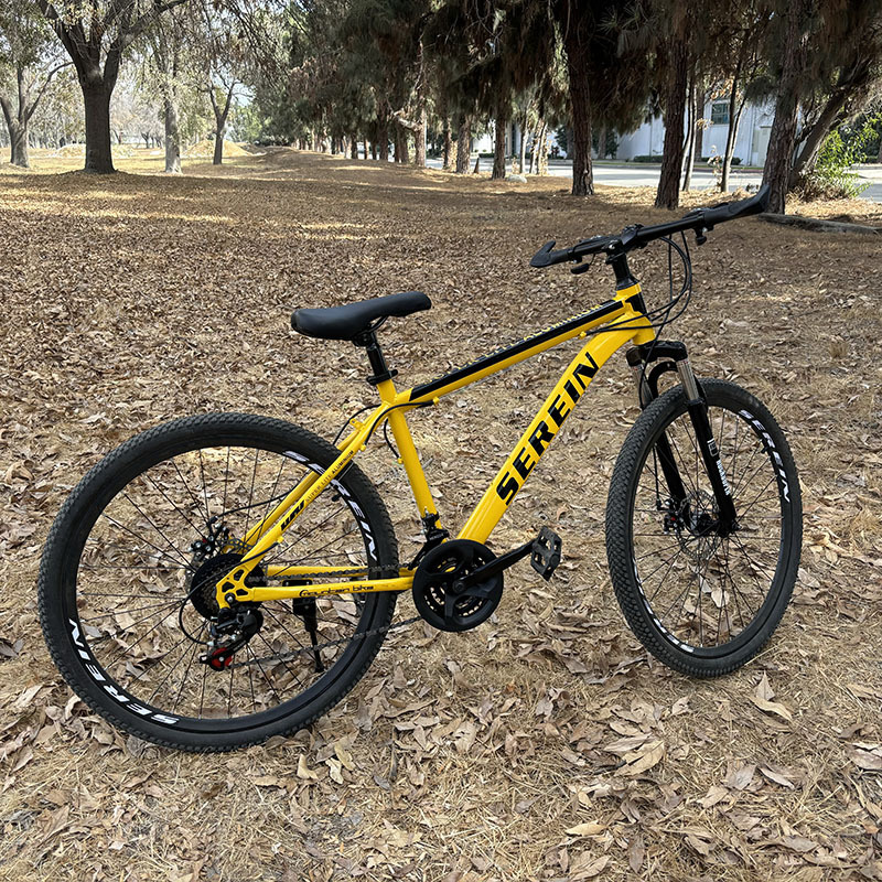 bikes bicycles sold on Temu United States