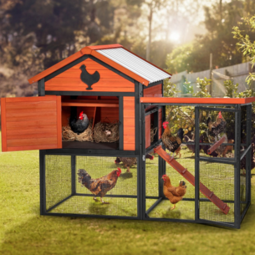 chicken coop sold on Temu United States