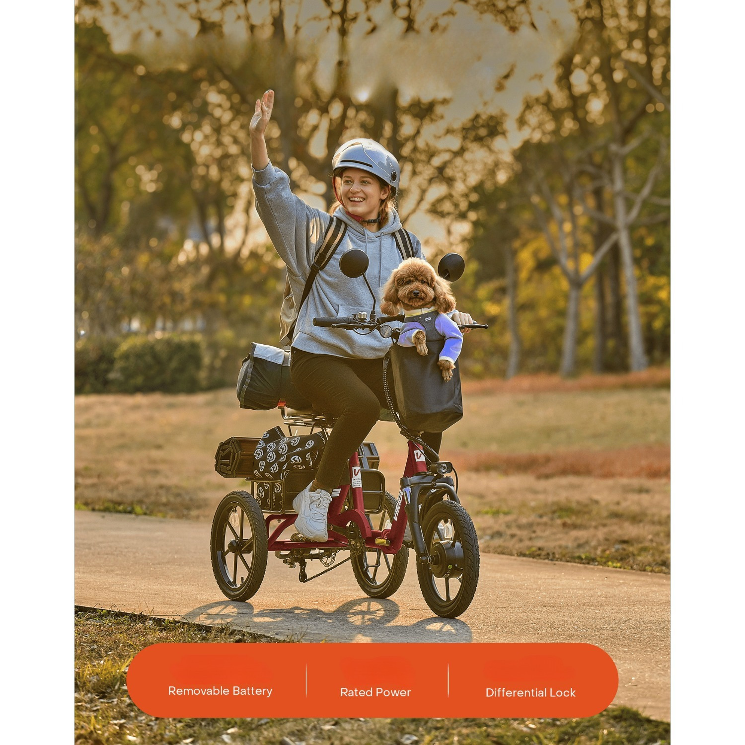 electric adult tricycle sold on Temu United States