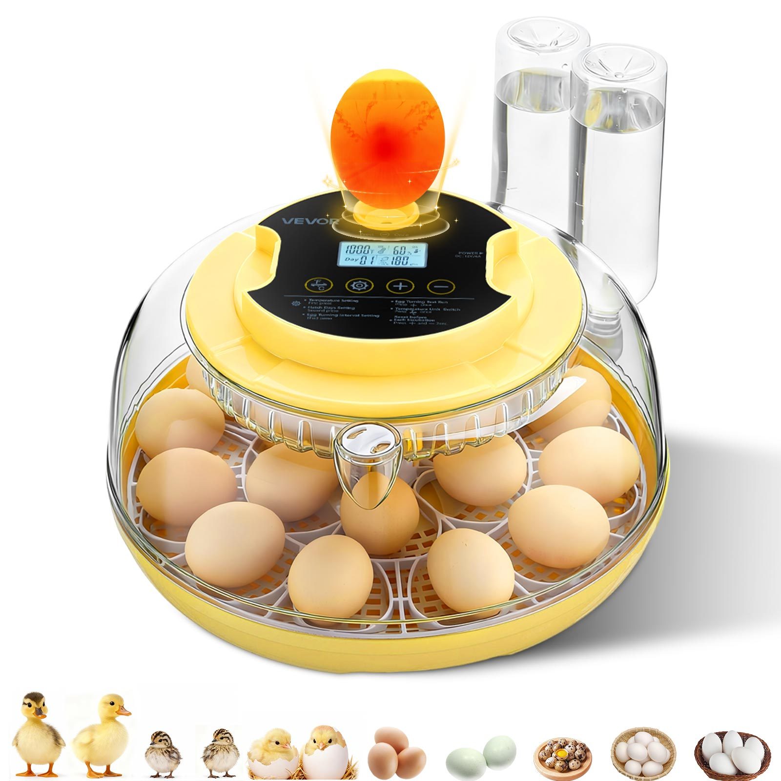 incubator sold on Temu United States