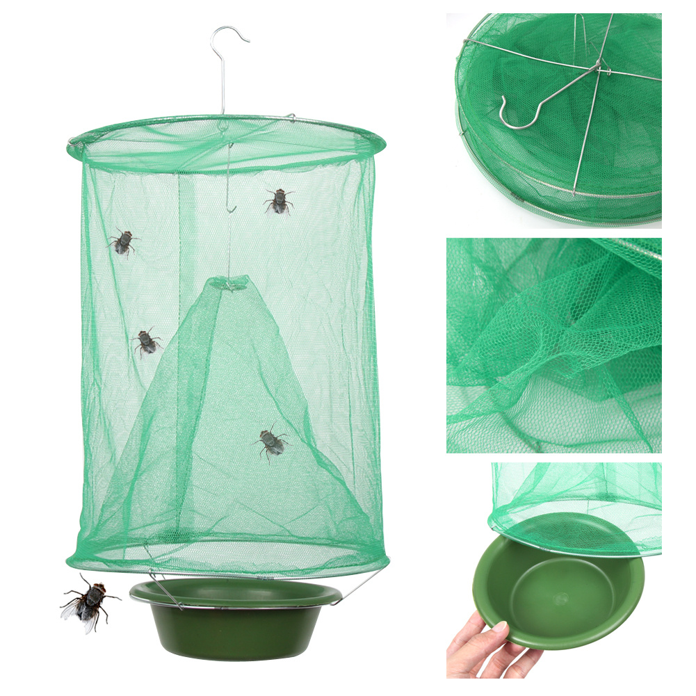 fly traps sold on Temu United States