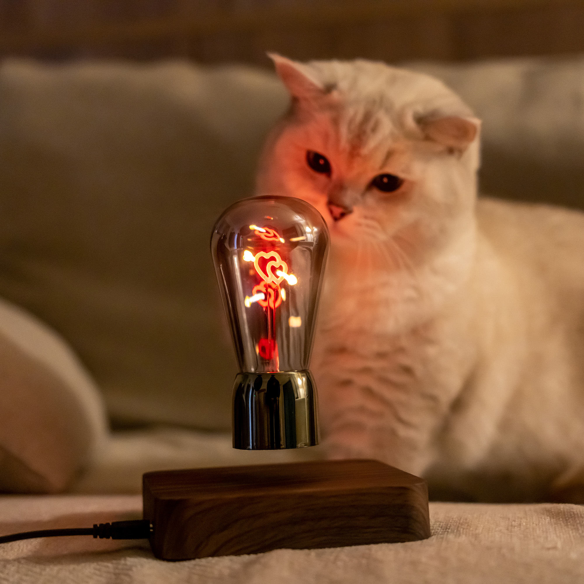 magnetic levitation lamp sold on Temu United States