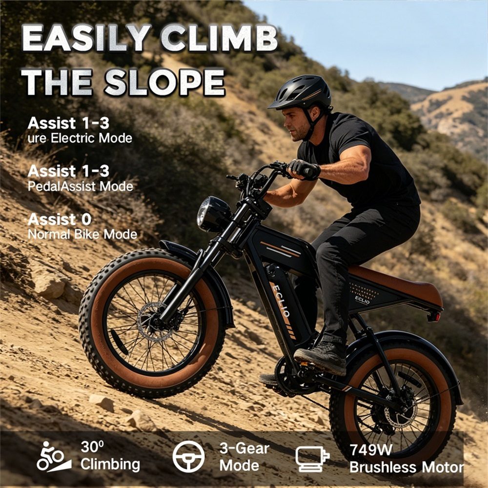 the electric bikes sold on Temu United States