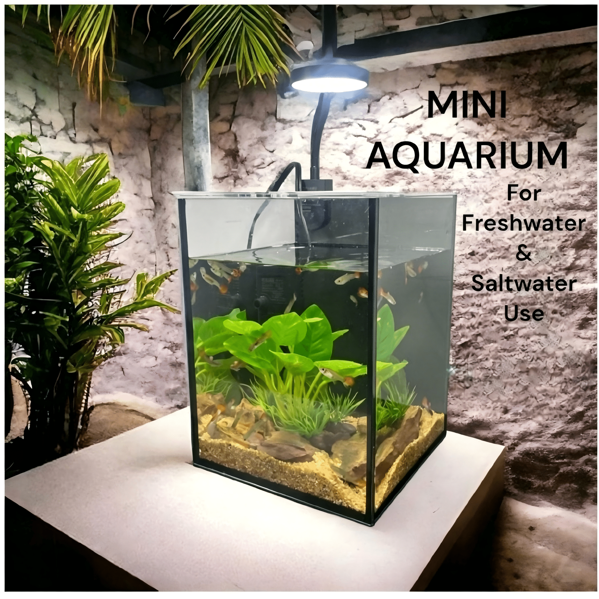 fish tank small sold on Temu United States